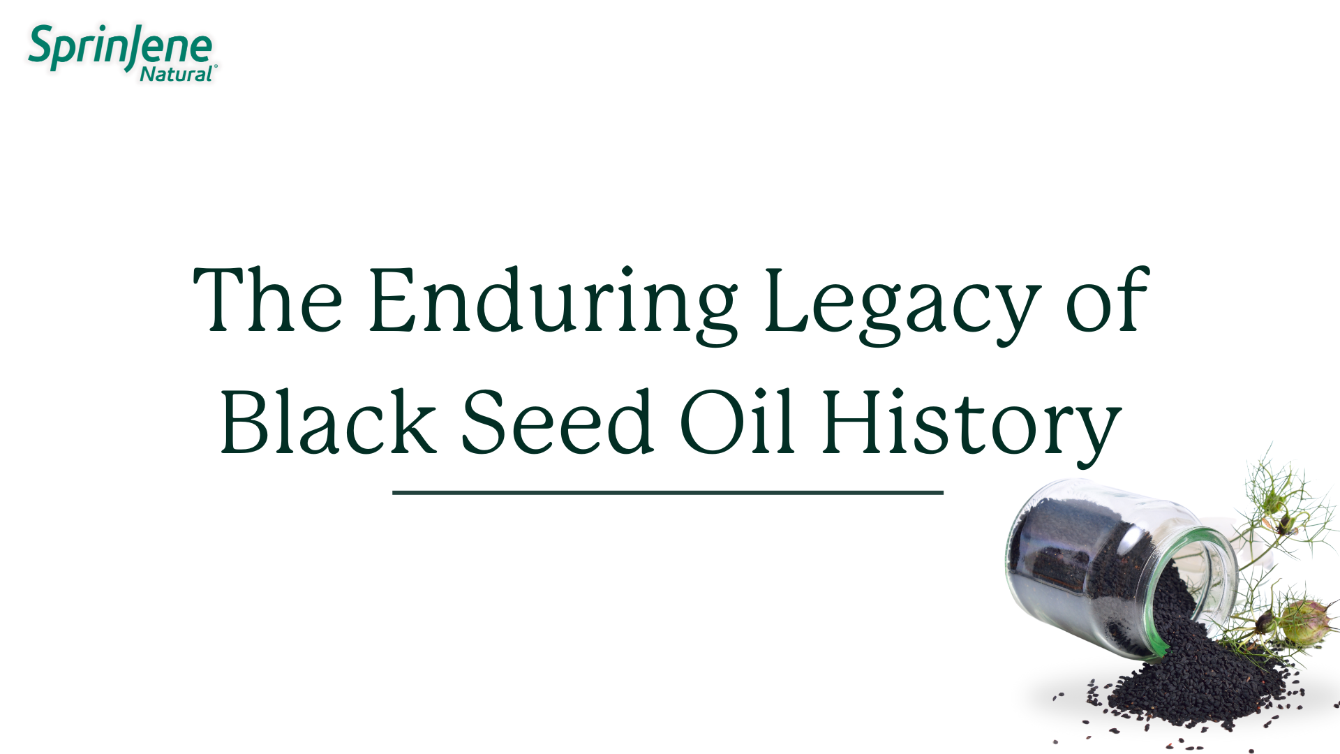 The Enduring Legacy of Black Seed Oil – Sprinjene